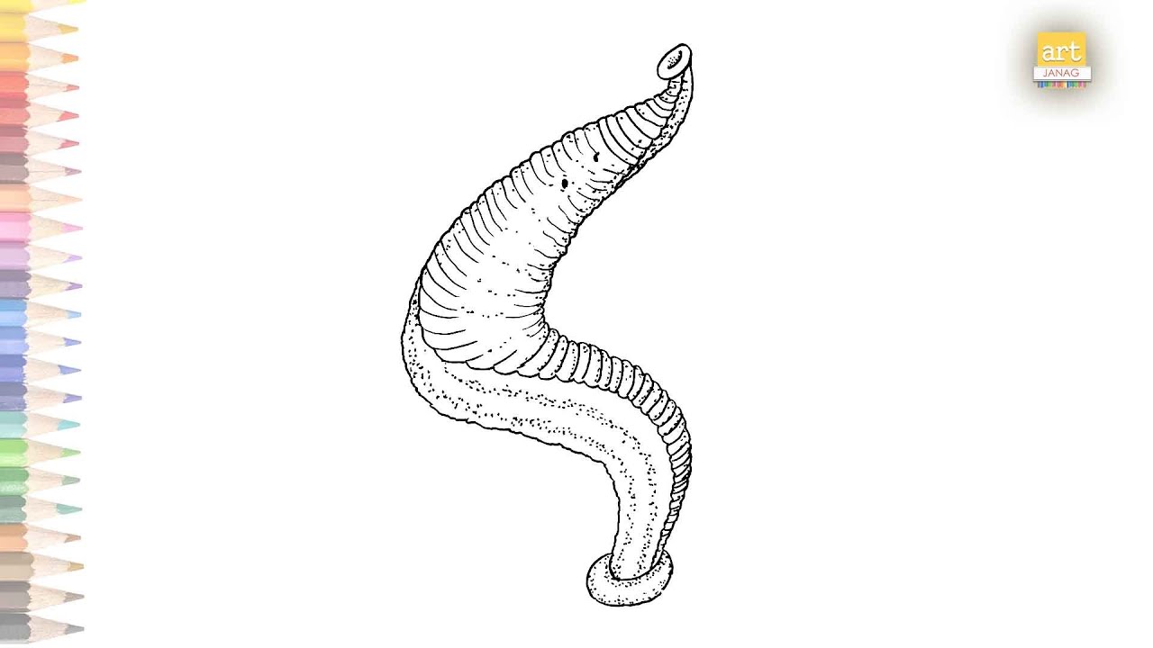 Leech Science Diagram Easy How To Draw A Leech Step By Step Science