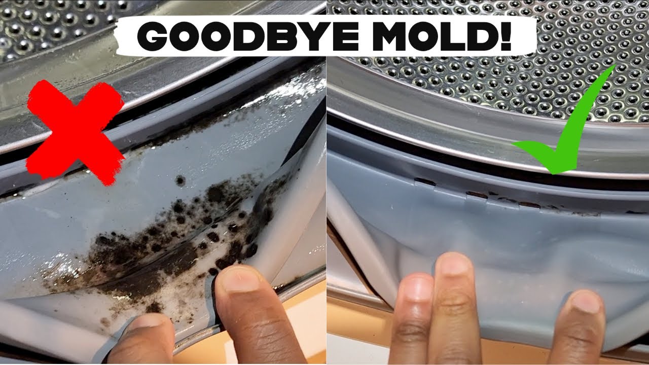 Removing Black Mold From Washing Machine Gasket At Anthony Latham Blog