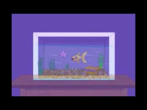 Learn Shapes Rectangle Youtube