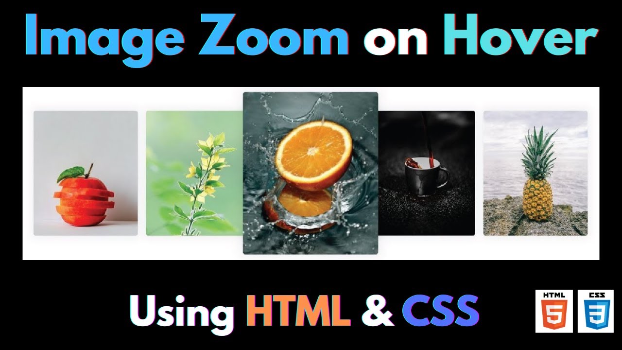 Image Zoom On Hover Effects Using Html Css Only Youtube