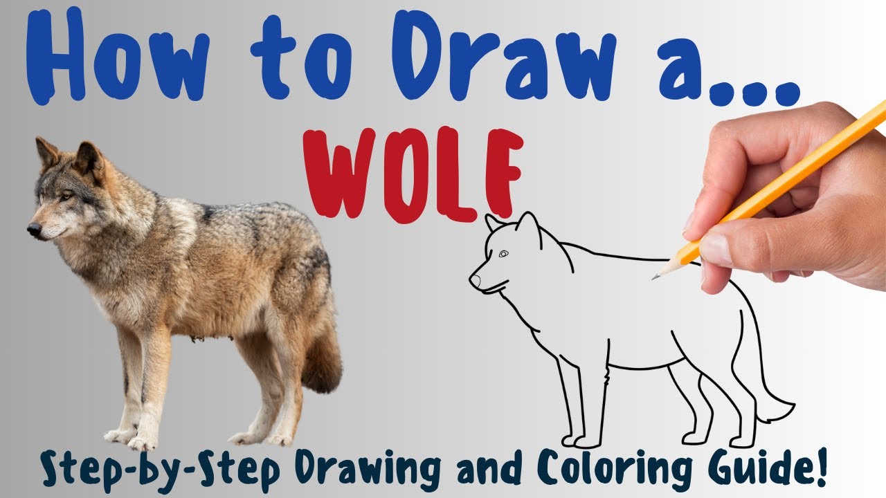 How To Draw A Wolf Fun Easy Step By Step Drawing And Coloring Guide
