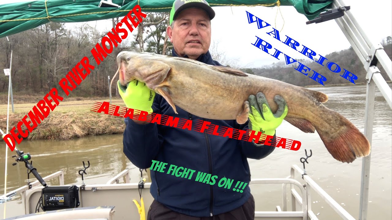 How To Land Alabama Flathead River Monster Youtube