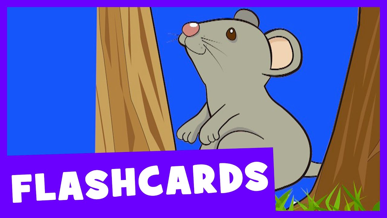 Prepositions Talking Flashcards Youtube