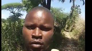 Limbu Luchagula Ft Mayiku Sai By Sanzu 2024 Sanzu Lupalika Tv Mp3 Music ...