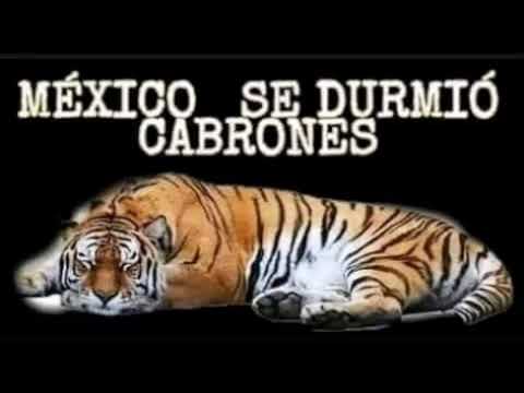 México Despertó Cabrones Youtube