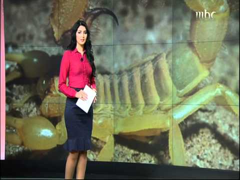 Mariam Said 25 Feb 2012 Youtube