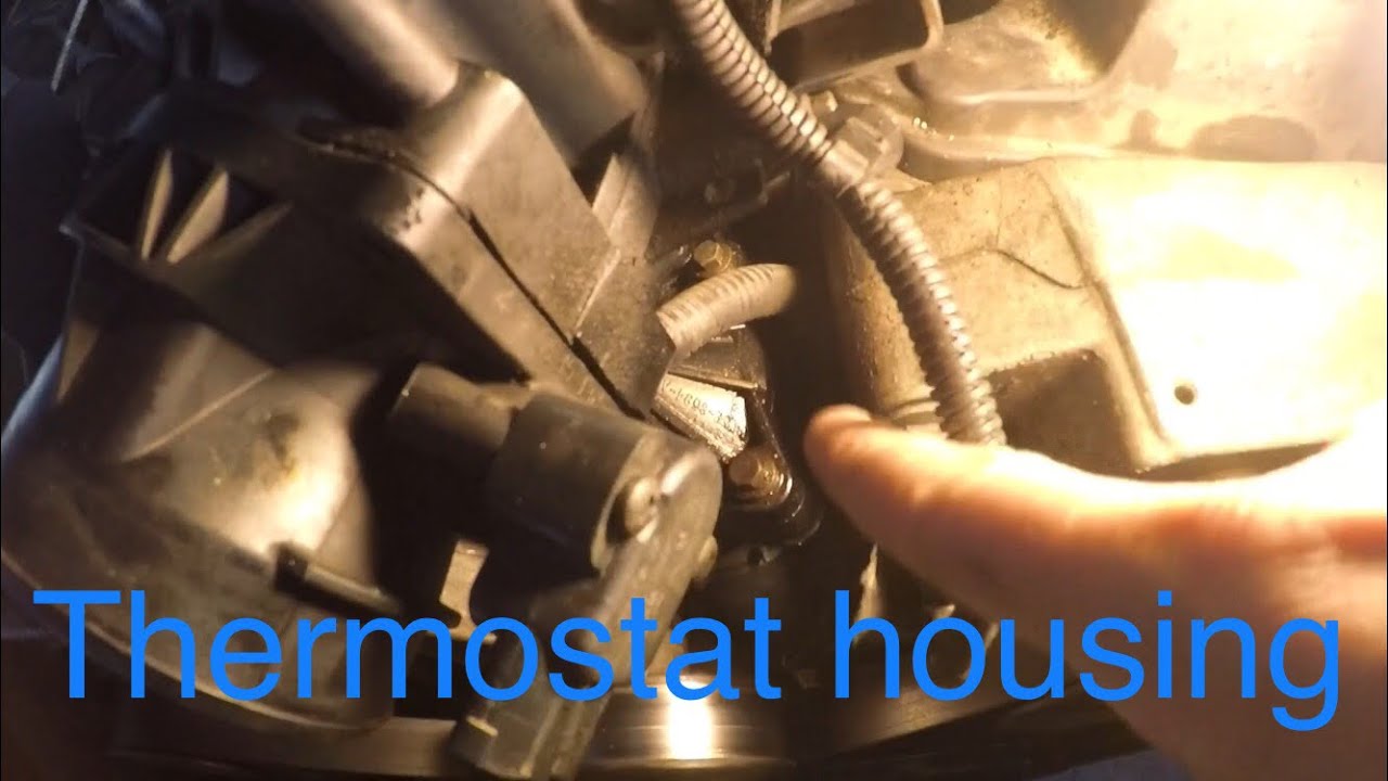 How To Replace Engine Thermostat At Xavier Mccomas Blog