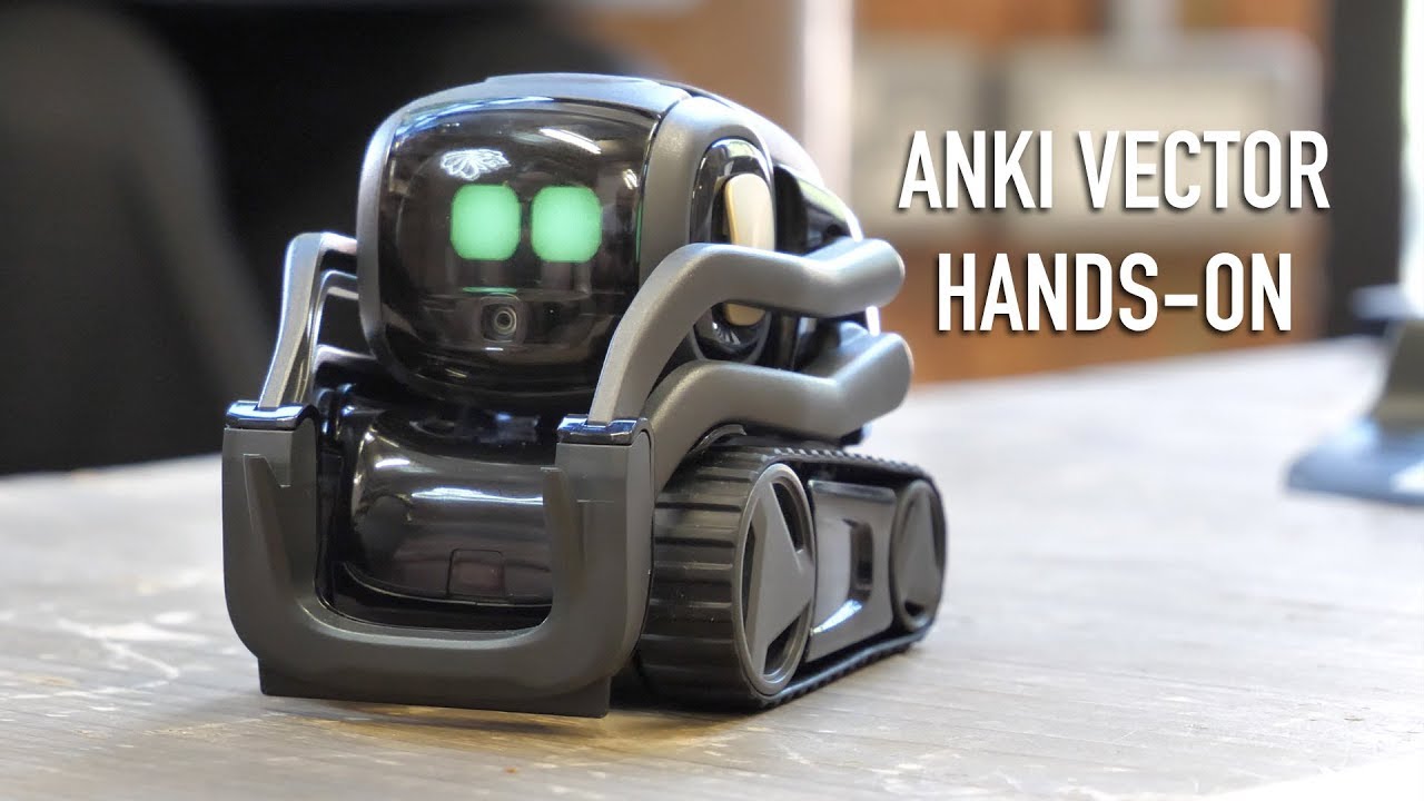 Anki Vector Hands On Review Youtube