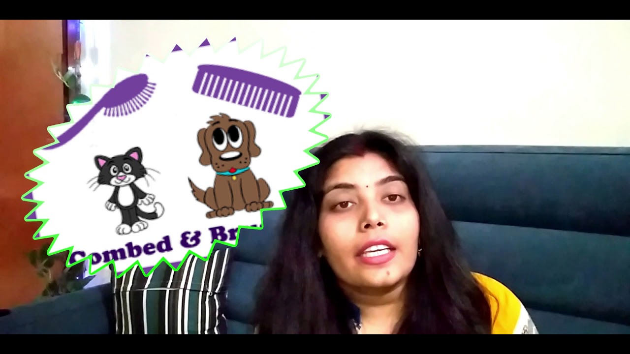 Pet Care Tips Inpet Shop