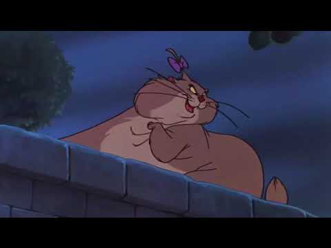 Felicia The Cat Vs Toby The Dog Youtube