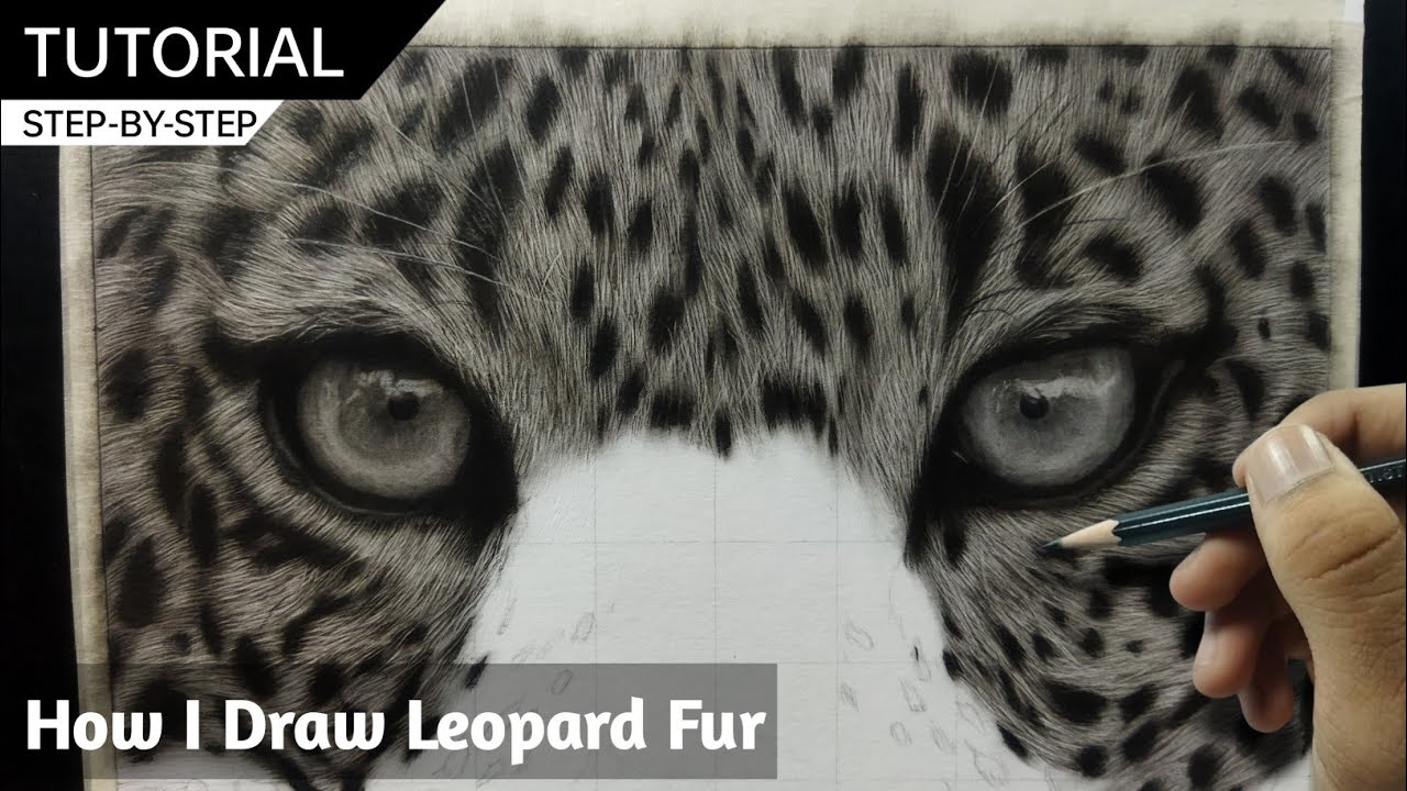 Draw With Me Realistic Leopard Fur Drawing With Charcoal Pencil