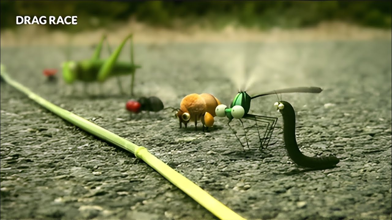 Minuscule Clip Racing Bugs 2012 Youtube