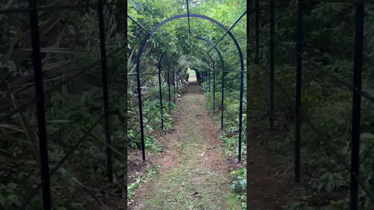 Steel Arch Walk Through Youtube