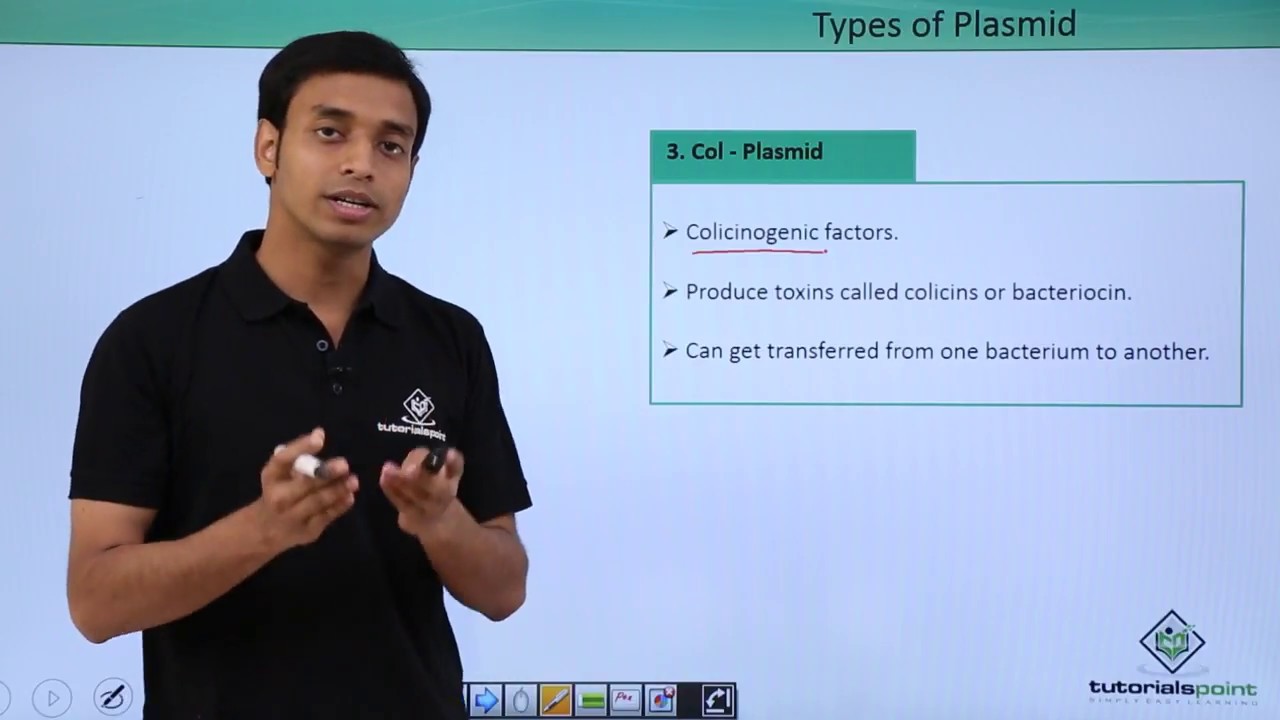 Class 11th Kingdom Monera Plasmids Biological Classification