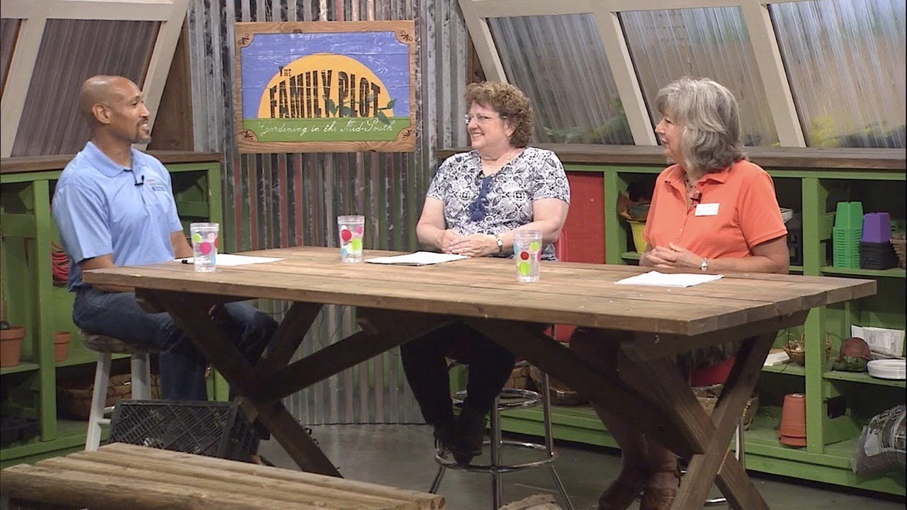 The Family Plot May 16 2020 Youtube