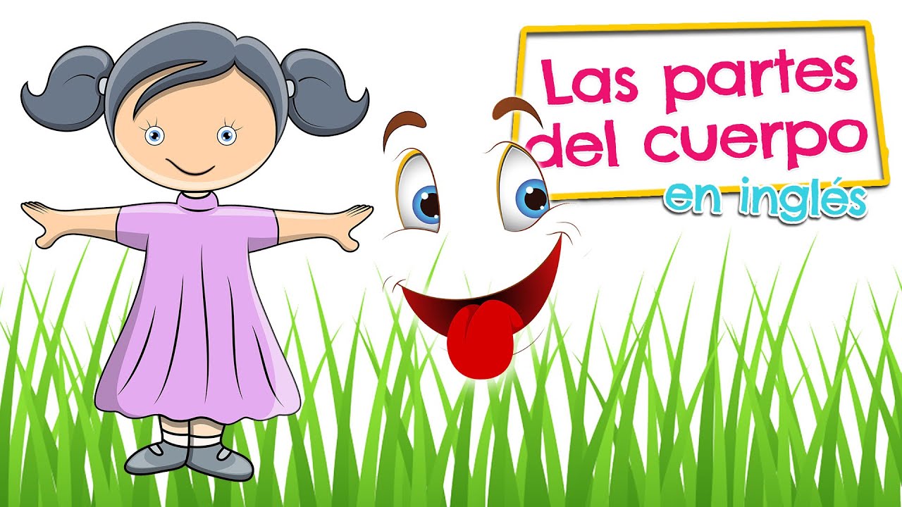 Dibujo Del Cuerpo Humano Y Sus Partes Para Niños Actividad Del Niño