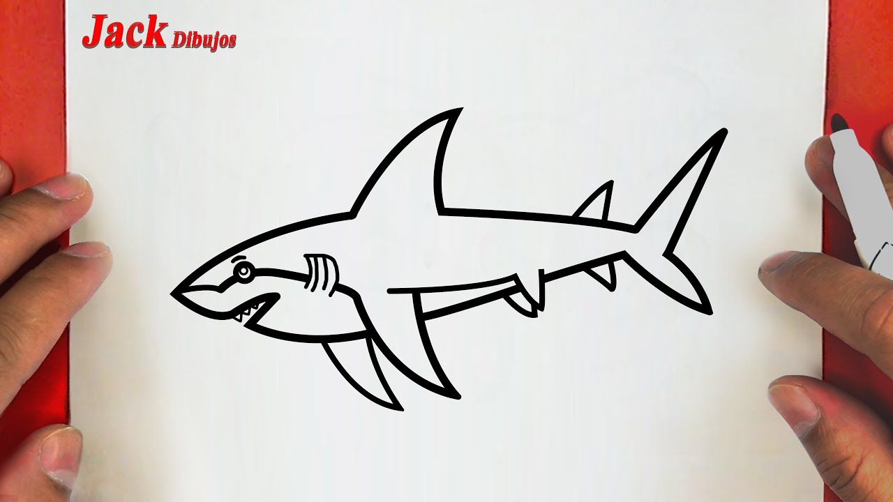 Cómo Dibujar Un Gran Tiburón Blanco Paso A Paso Jack Dibujos Youtube