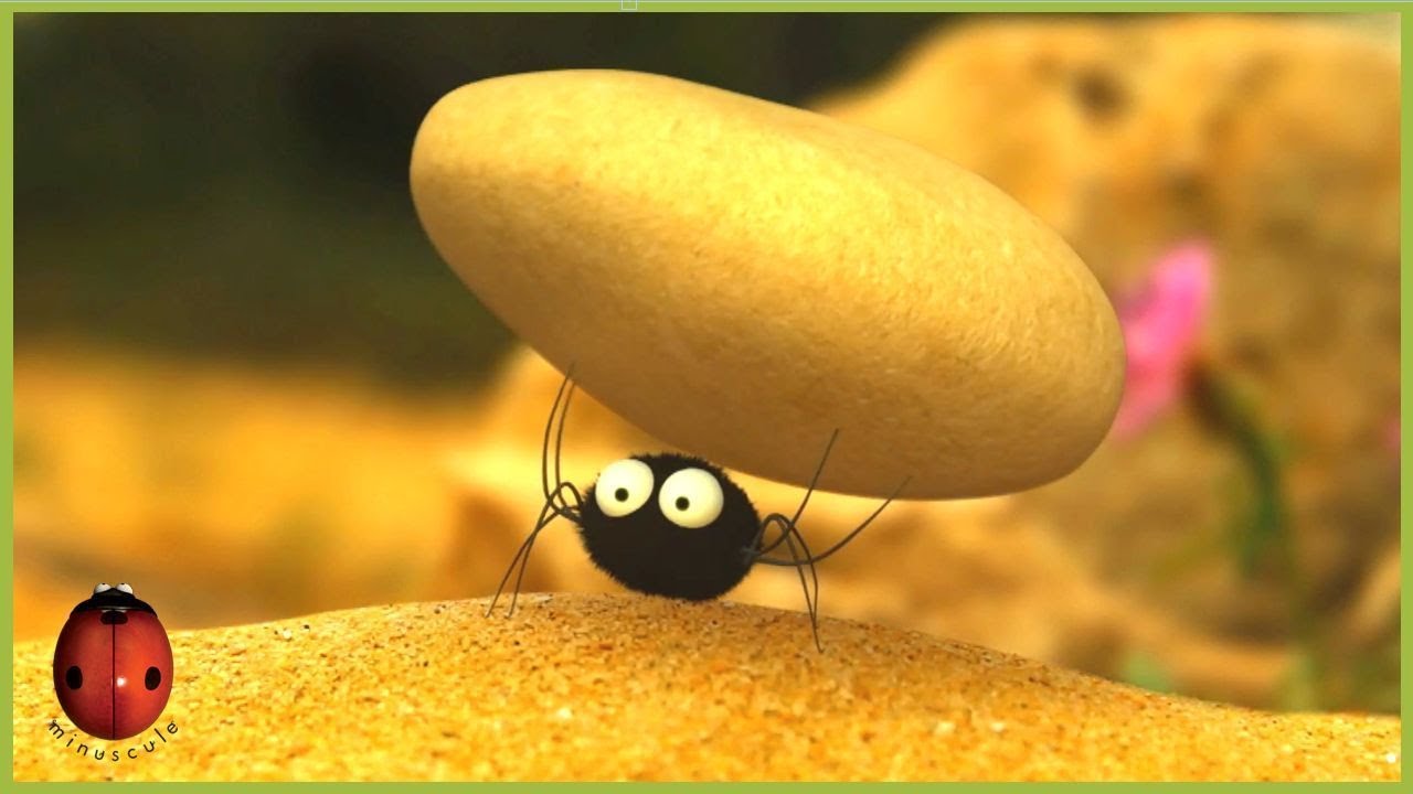 Pea Supper Minuscule рџќѓ10 Compilation Youtube