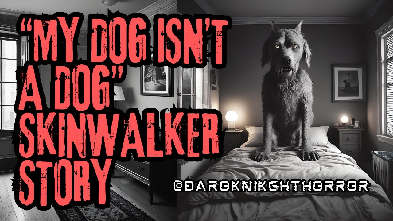 I Don T Think My Dog Is Really A Dog Skinwalker Sightings Youtube