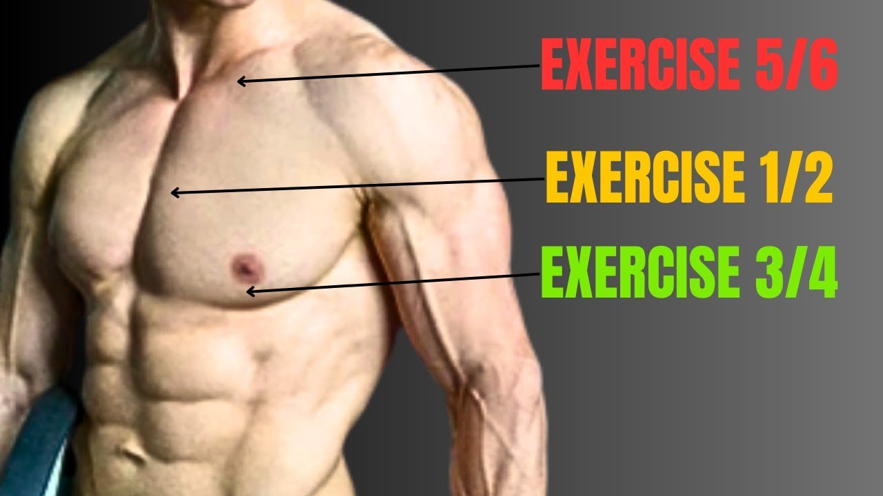 Chest Workout For Beginners Most Effective Exercises Youtube