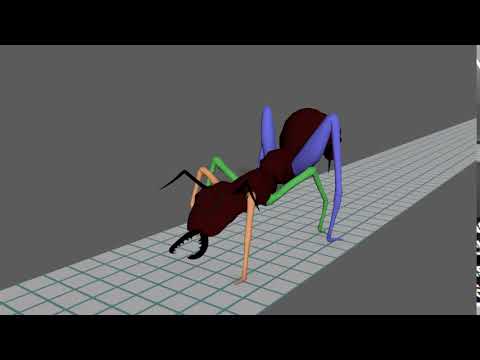 Insect Walkcycle Youtube