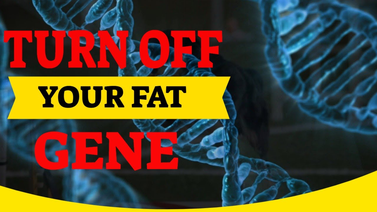 Turning Off The Fat Genes ёясй How To Turn Off Fat Genes Solution Youtube