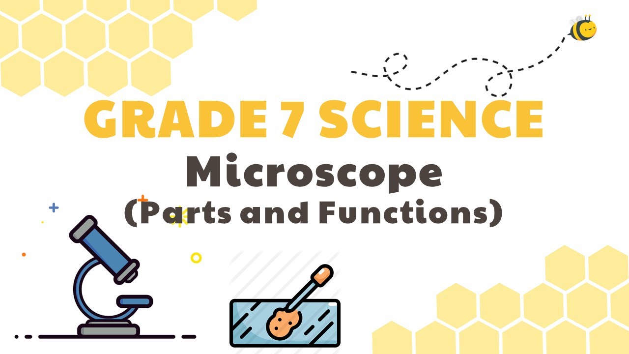 Microscope Parts And Functions Grade 7 Science Deped Melc Quarter 2
