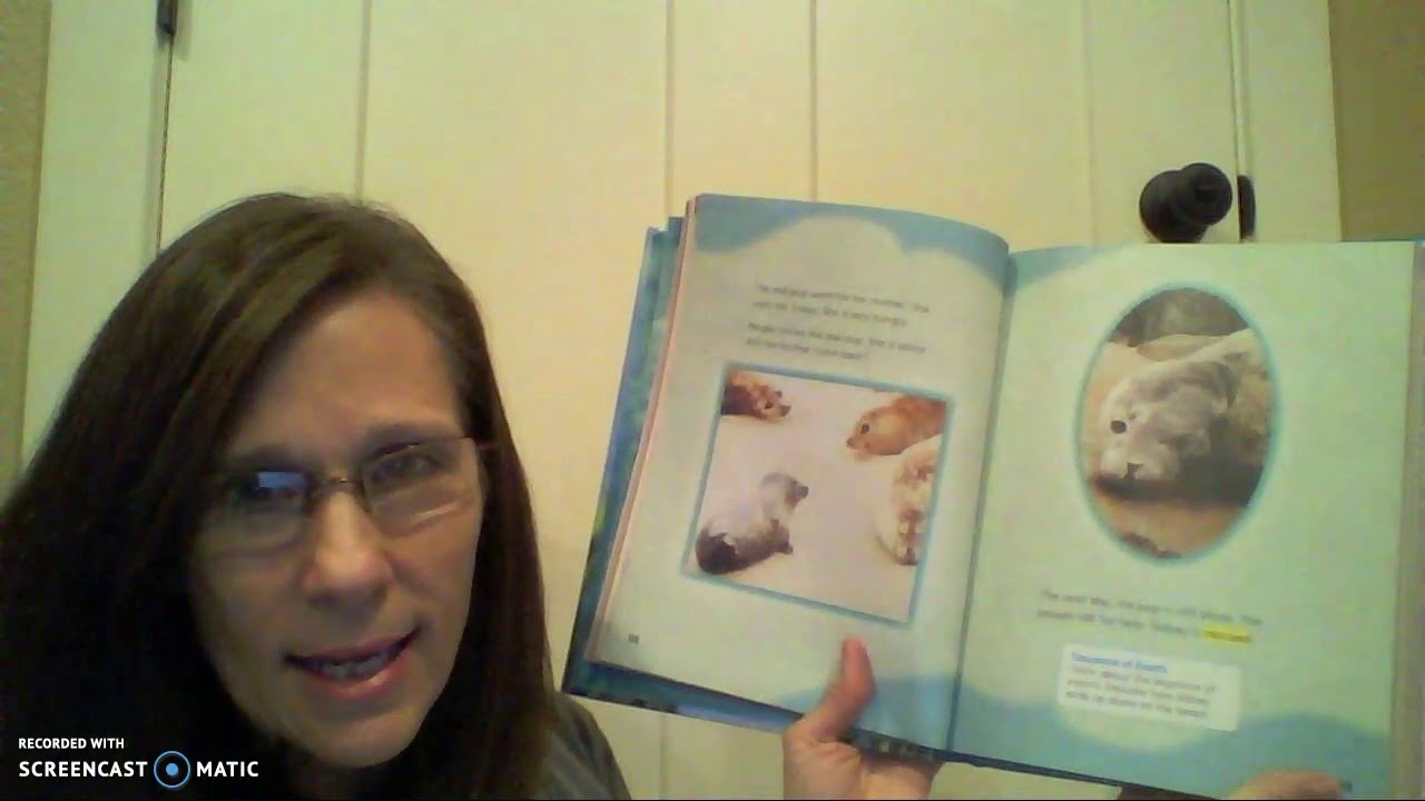 Reading Youtube