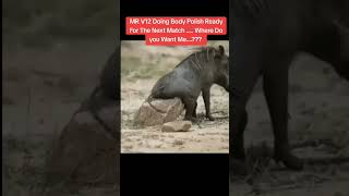 Kasongo Yeye Mp3 Music & Mp4 video downloads