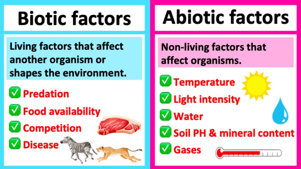 Biotic Factors Abiotic And Biotic Factors Of Different Biomes