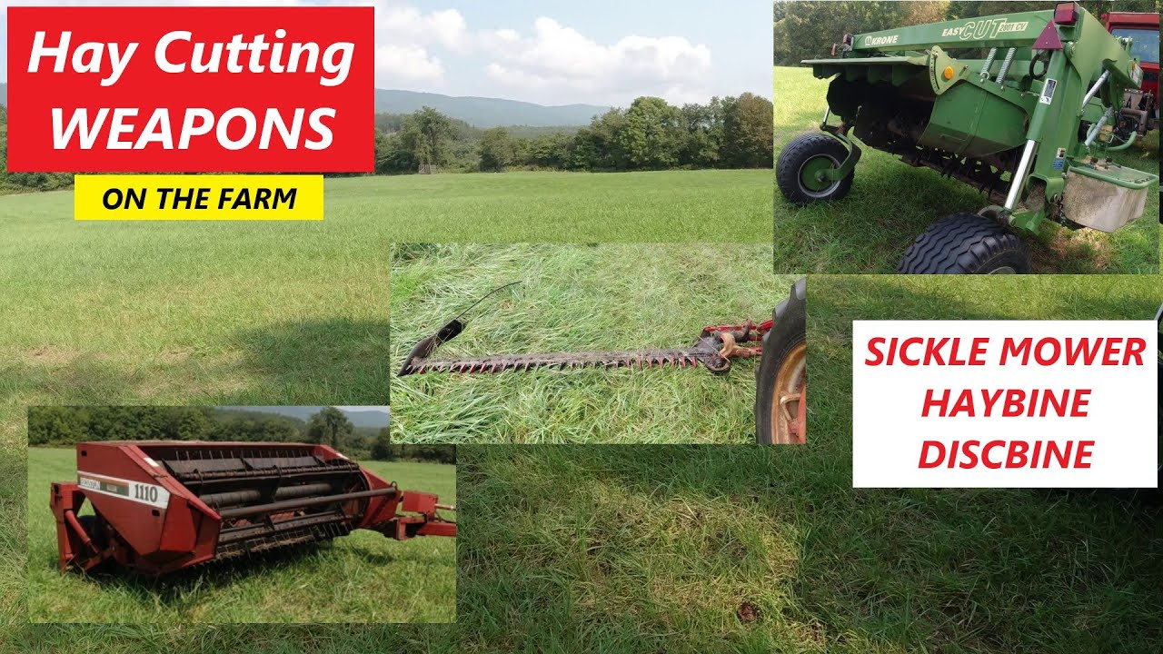 Our Hay Cutting Weapons Sickle Mower Haybine Discbine Youtube