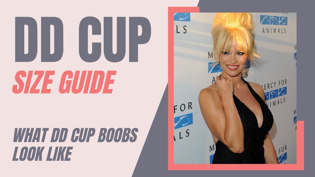 Dd Cup Size Ultimate Guide What Dd Cup Breasts Look Like Youtube
