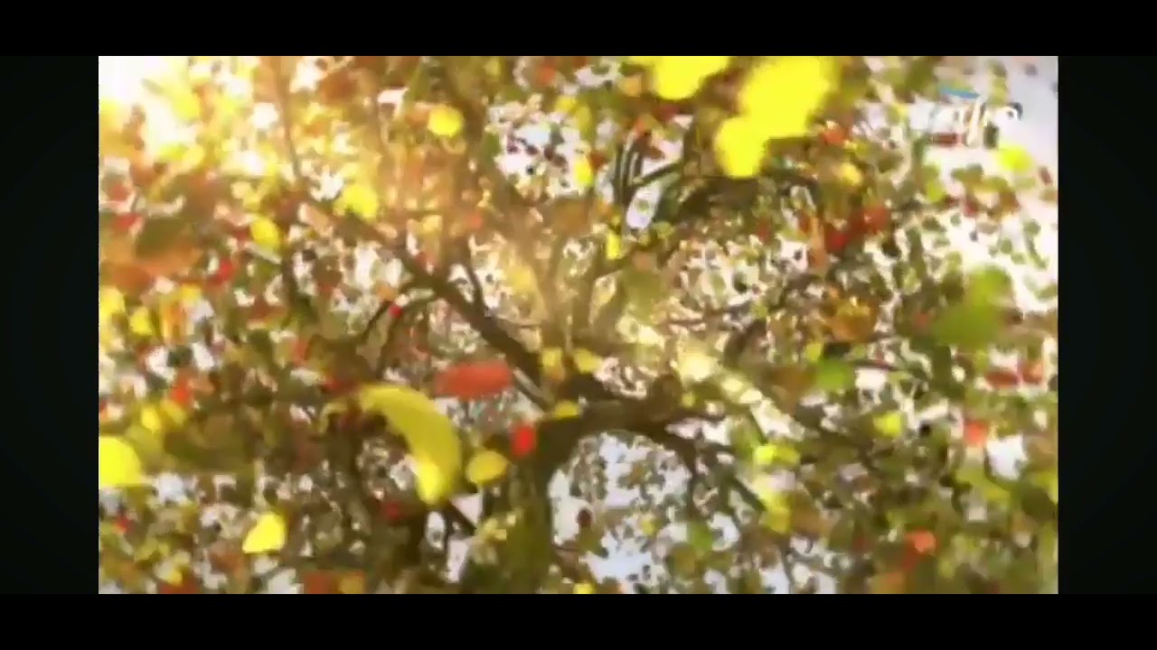 Lrt Televizija Ident 2016 2022 2 Youtube