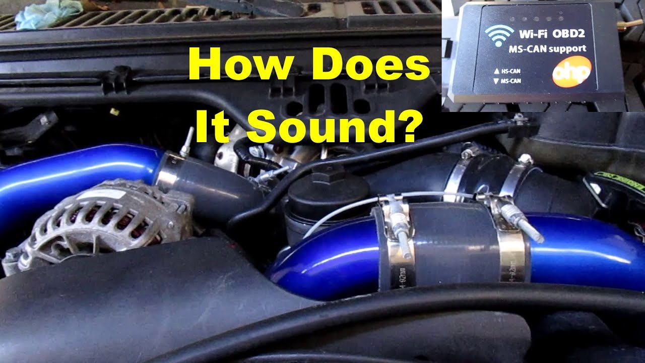 6 0 Powerstroke Ohp Forscan Injector Buzz Test Youtube