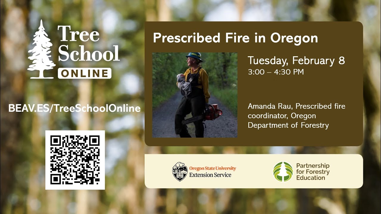Tree School Online Prescribed Fire In Oregon Youtube