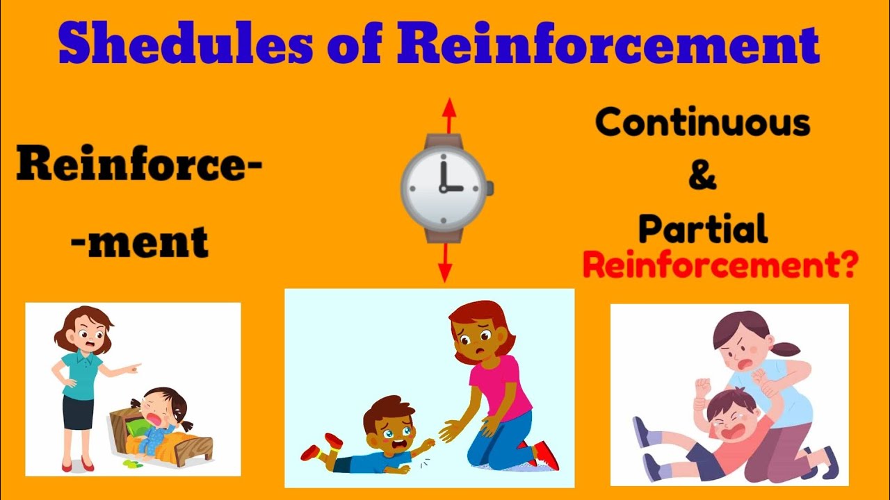 Psychology Definition Reinforcement Schedule At Emma Lowell Blog