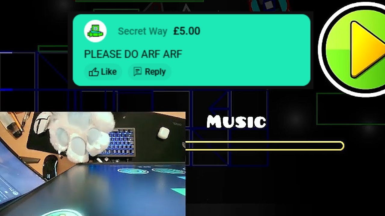 Zoink Gets His Furry Paws Out For 5 Youtube