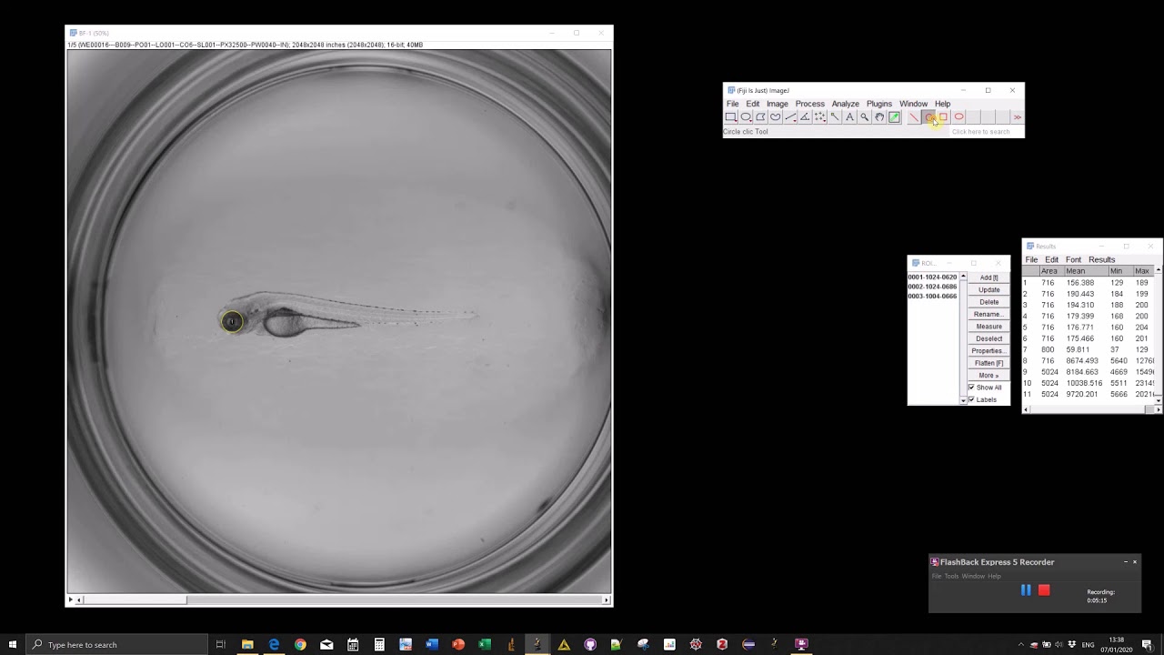Imagej Fiji Roi 1 Click Tools Youtube
