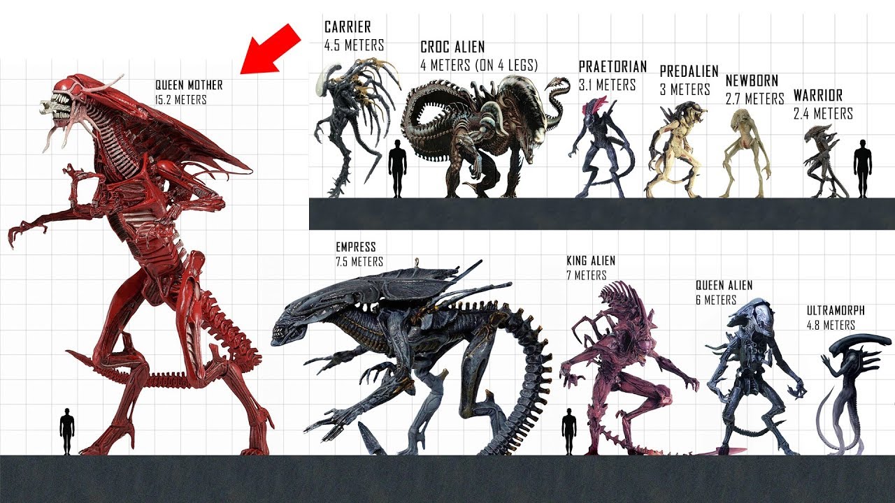 The Alien Lifecycle Evolution