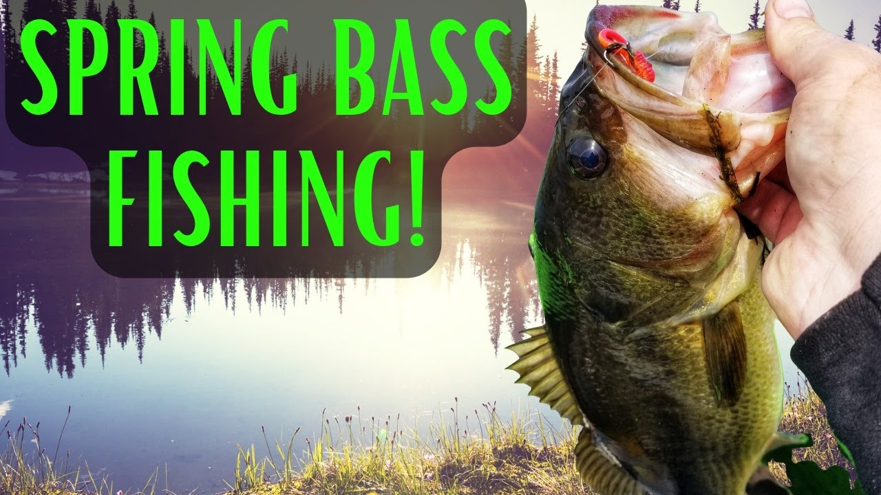 Early Spring Bass Fishing Youtube