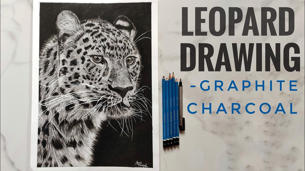 Hyperrealistic Leopard Drawing With Graphite And Charcoal Timelapse