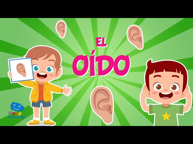 Sentido Del Oido Para Niños