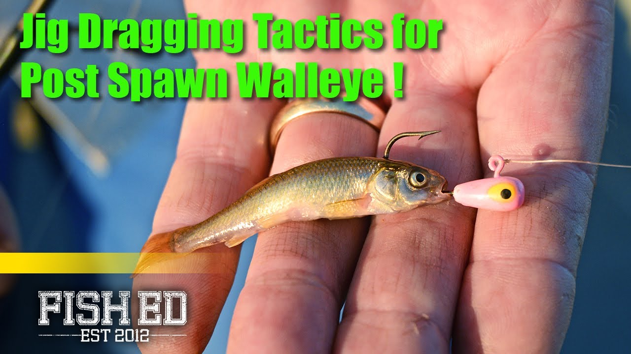 Jig Dragging Tactics For Post Spawn Walleye Fish Ed Youtube