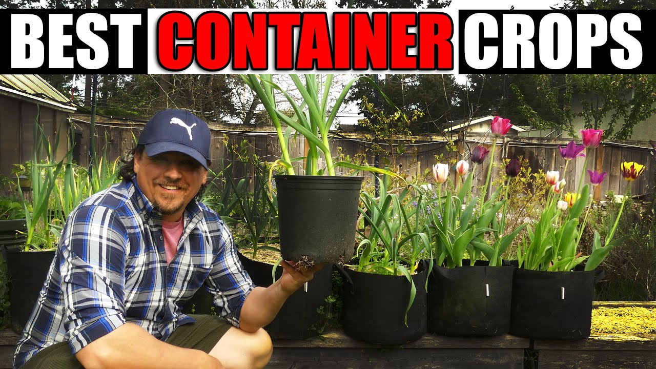 Top 7 Container Veggies For Beginners Garden Quickie Episode 142