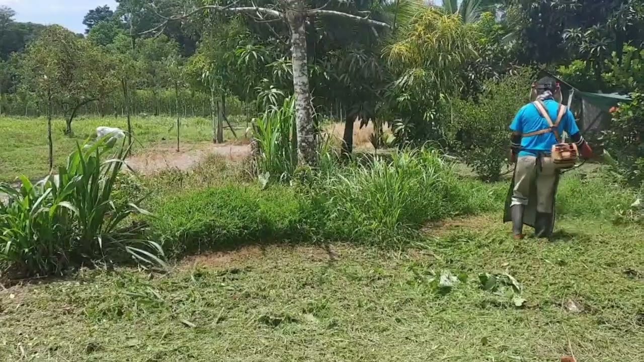 Stihl Fs 280 Youtube