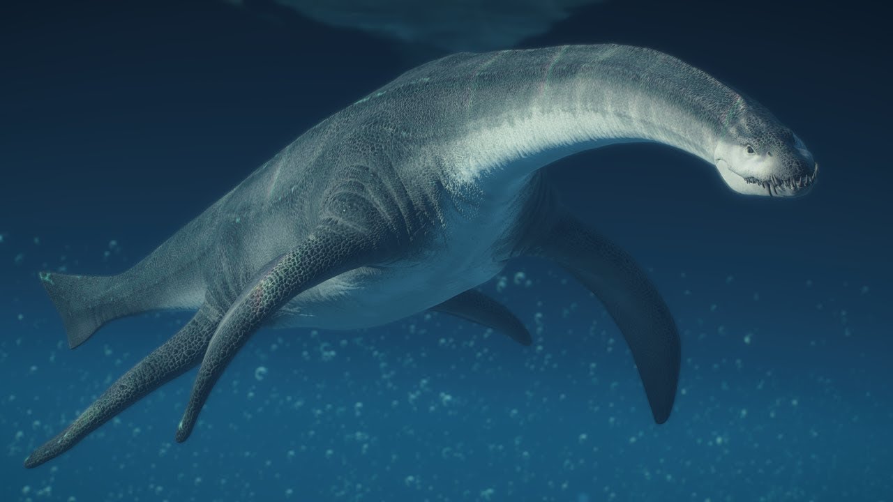 Early Evolution Of Plesiosaurs Youtube