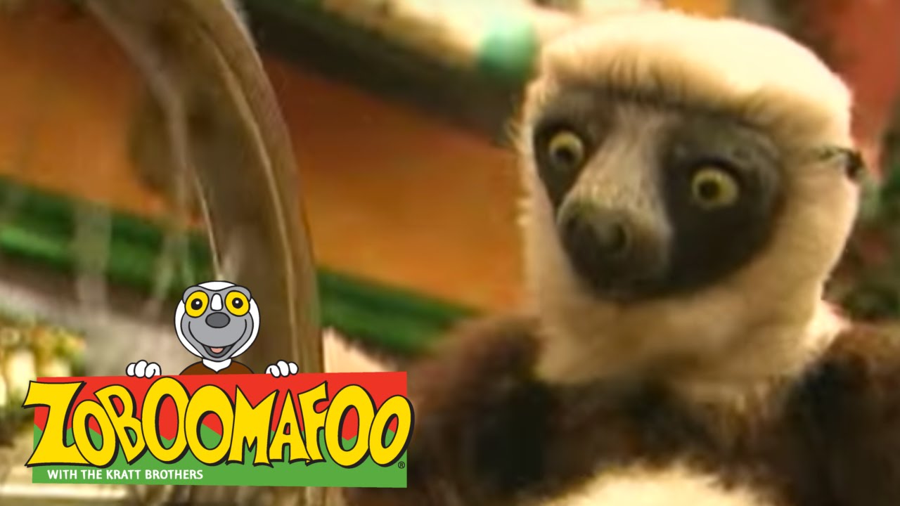 Zoboomafoo Bears