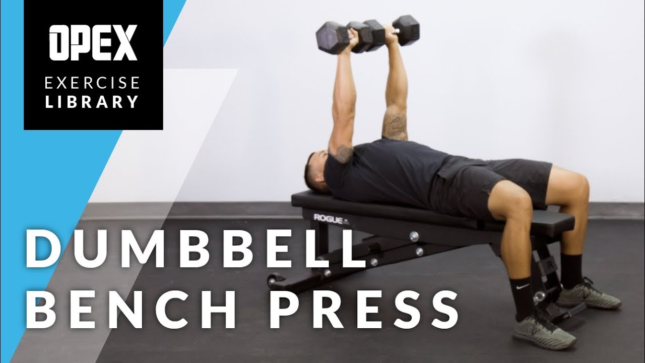 Dumbbell Bench Press Opex Exercise Library Youtube