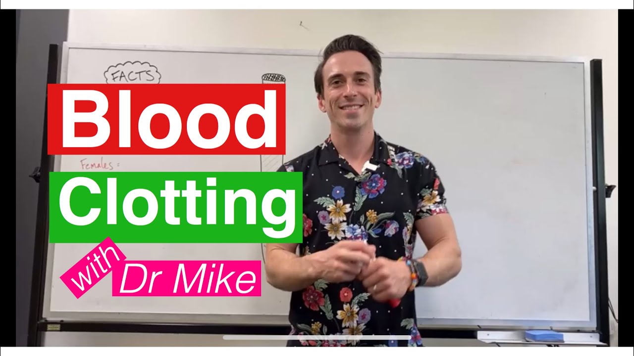 Blood Clotting Unlocking The Secret Feedback Loop Transtutor Blog