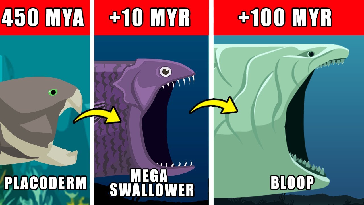 Bloop Origin Evolution How The Bloop Could Have Evolved Youtube
